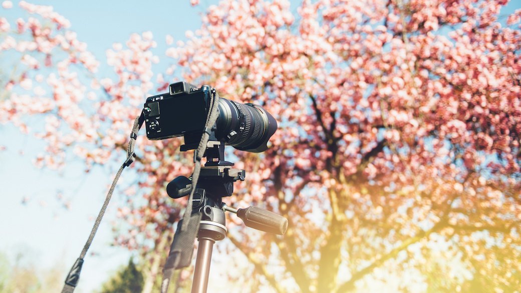 5 Best Infrared Lens Filters - Sept. 2021 - BestReviews