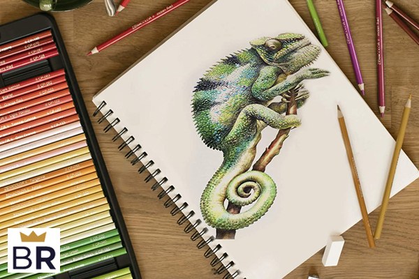 5 Best Colored Pencil Sets - May 2024 - BestReviews