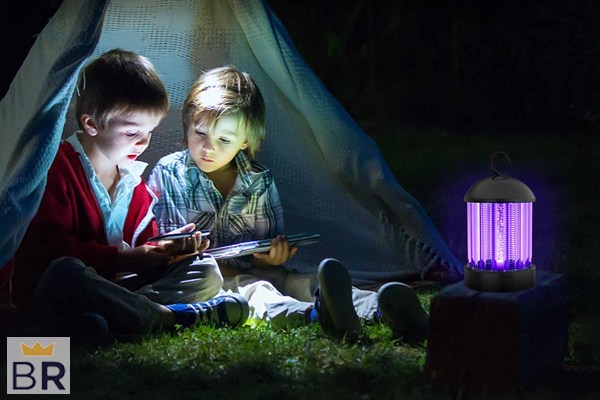 5 Best Bug Zappers - Sept. 2025 - BestReviews