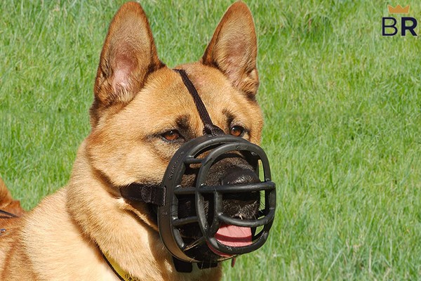 5 Best Dog Muzzles - Apr. 2024 - BestReviews