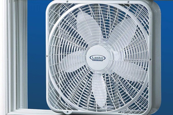 5 Best Box Fans - Apr. 2025 - BestReviews